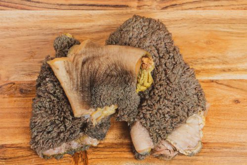 Green Tripe for Dogs - Wholesome and Nutritious | Roar Pet Food