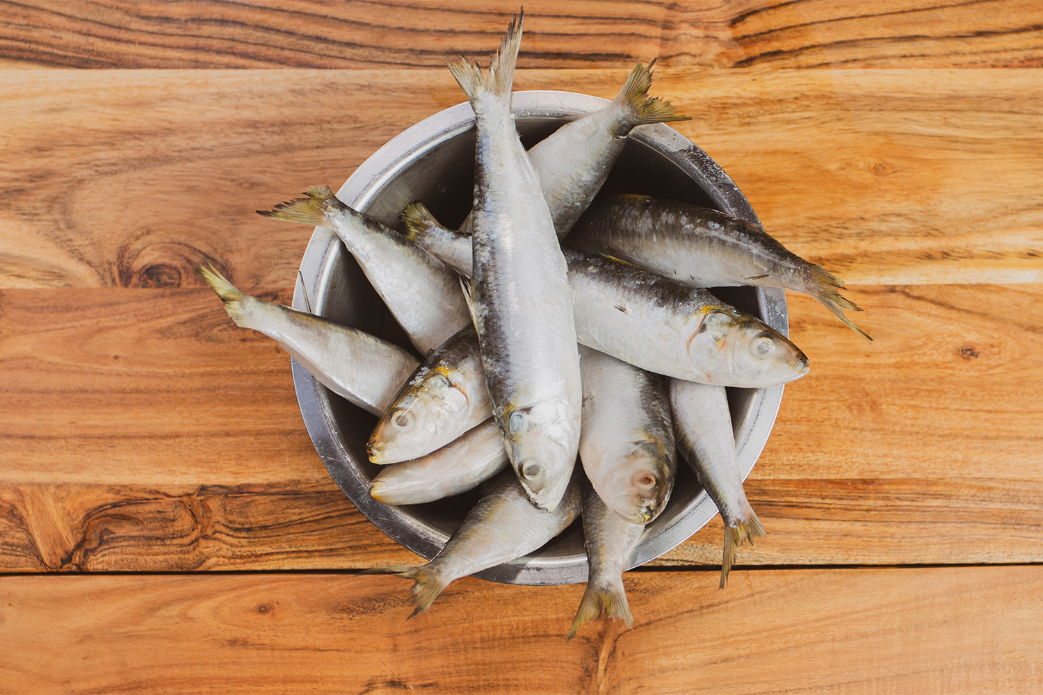 1kg Premium Pilchards | Omega-3 Rich Treats for Cats and Dogs