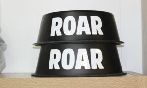 Dog treats | Delicious and nutritious snacks | Roar Pet Food